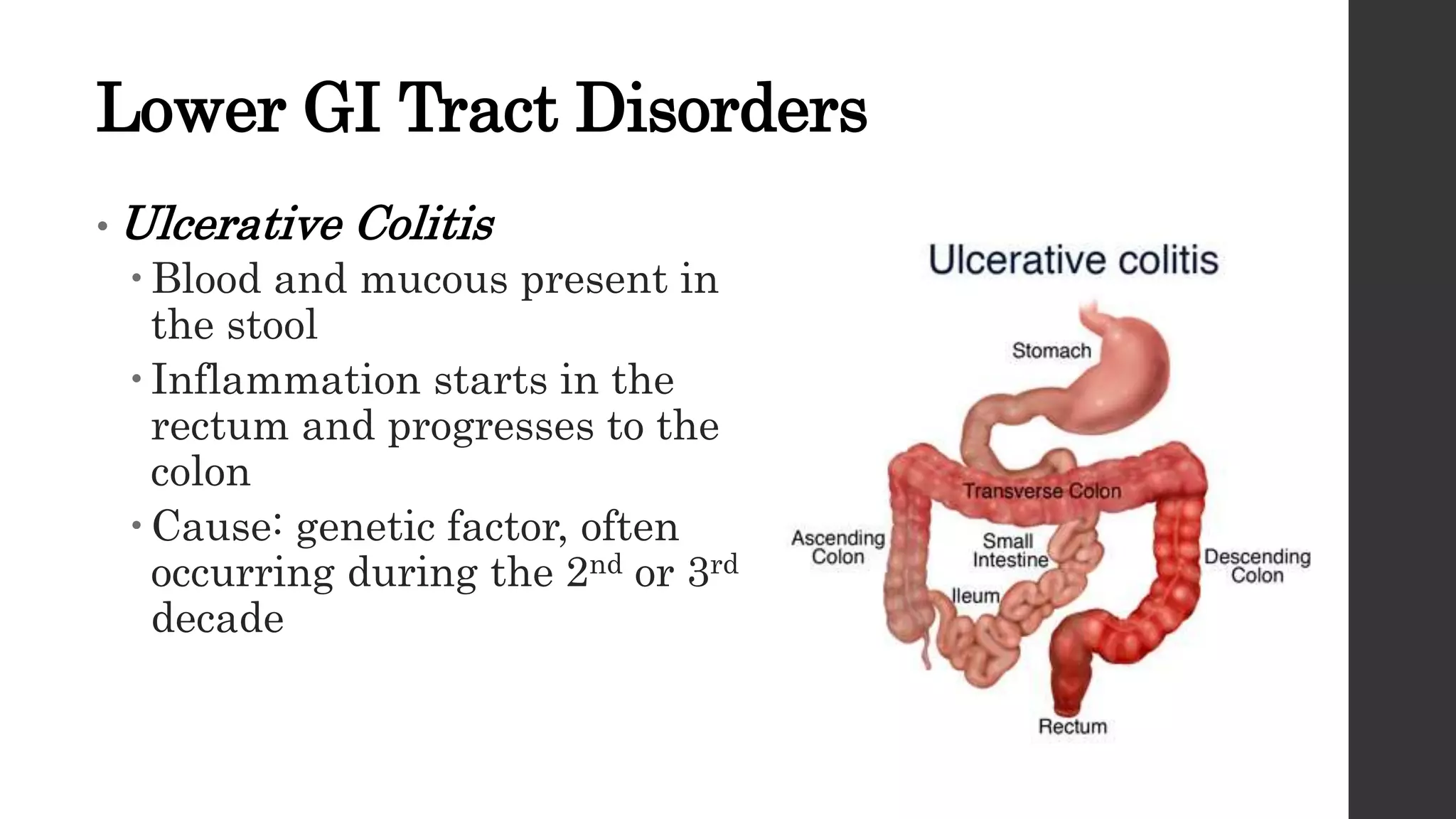 Gastrointestinal Pathophysiology | PPTX