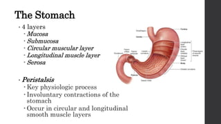 Gastrointestinal Pathophysiology | PPTX