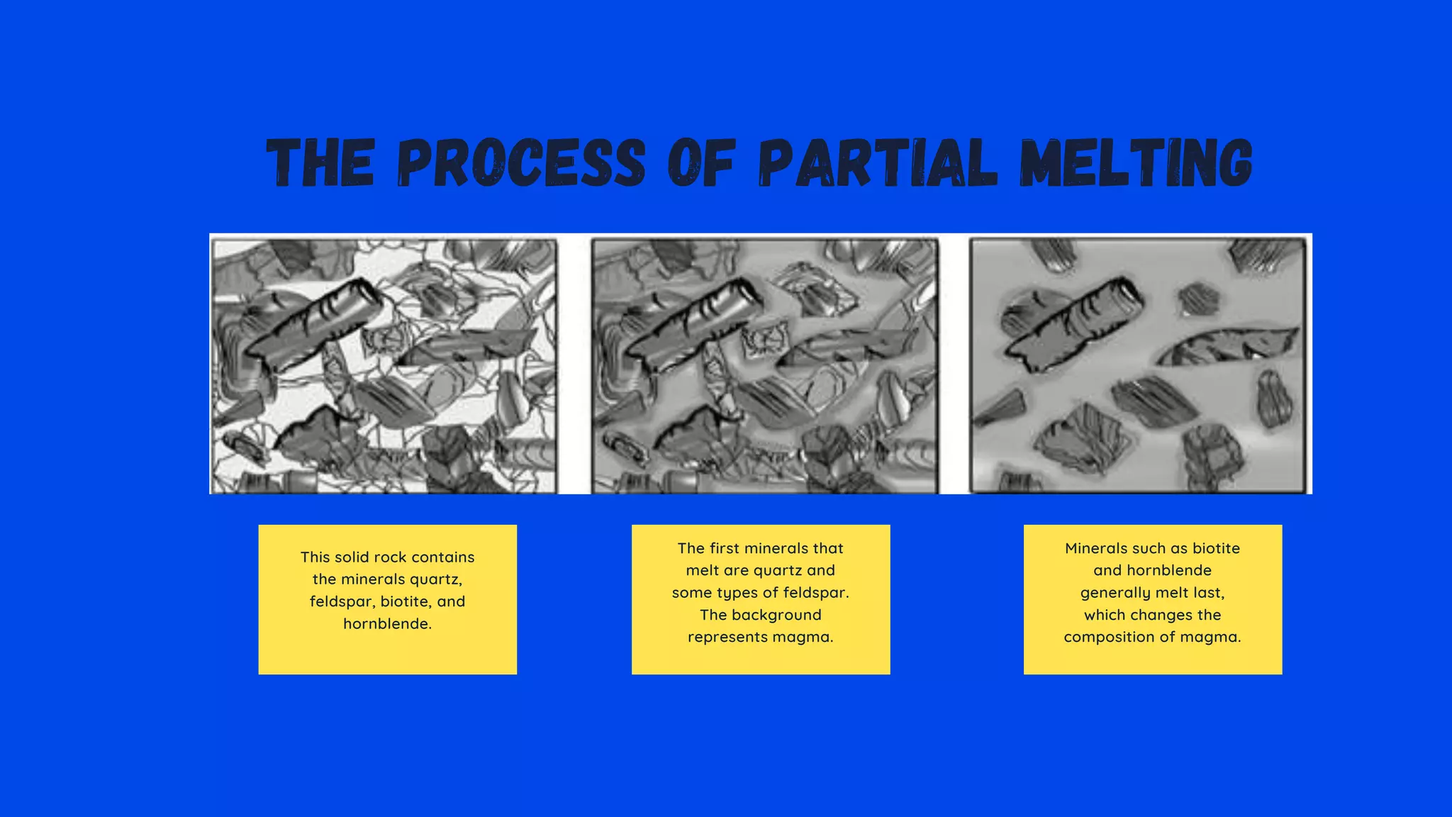 MODULE 7.pptx