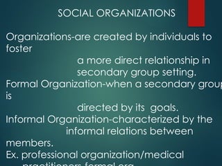 Social Organization_Presentation module 7.pptx