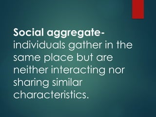 Social Organization_Presentation module 7.pptx