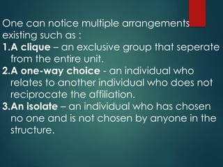 Social Organization_Presentation module 7.pptx