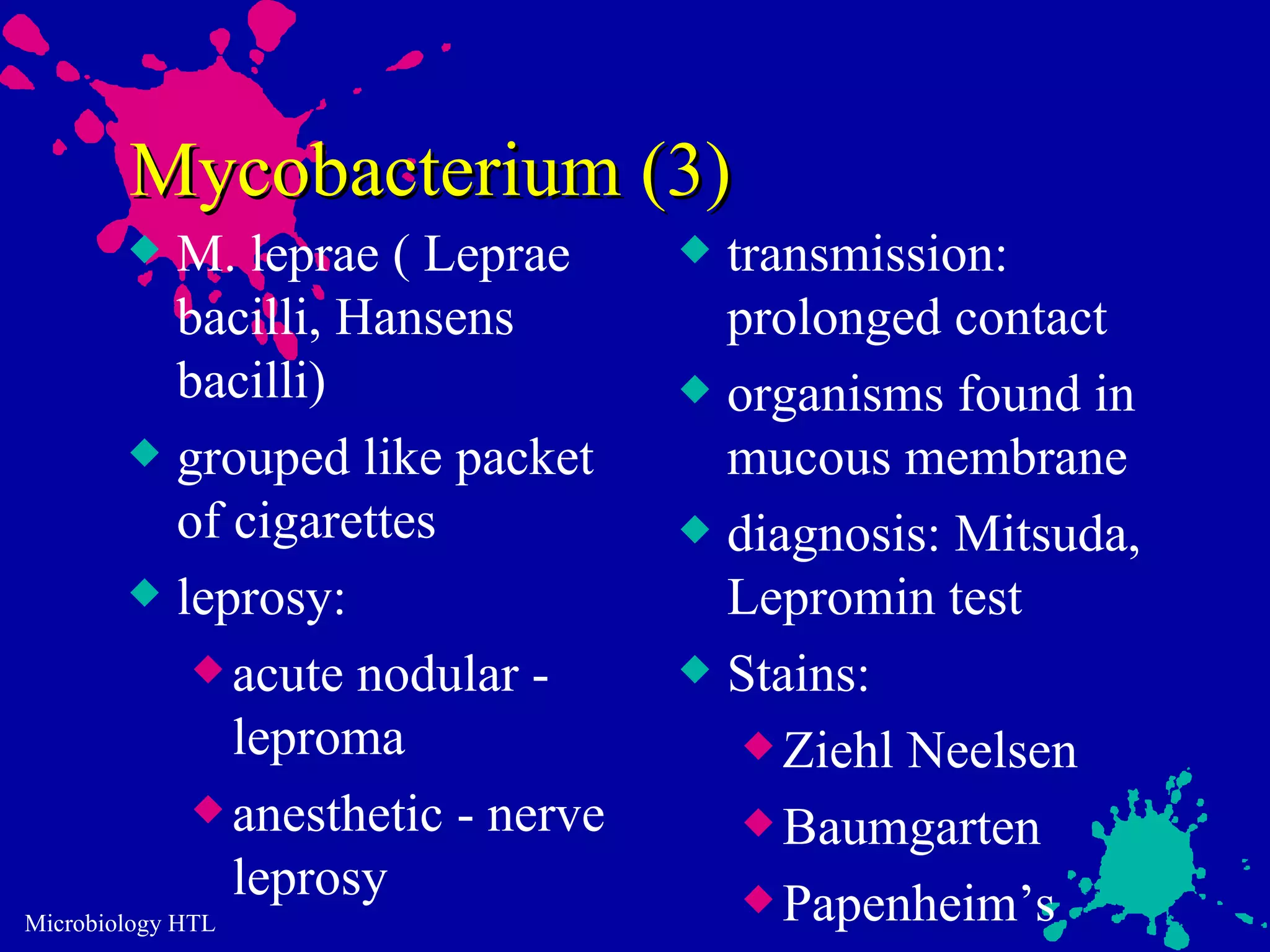 Module 7 bacilli | PPT