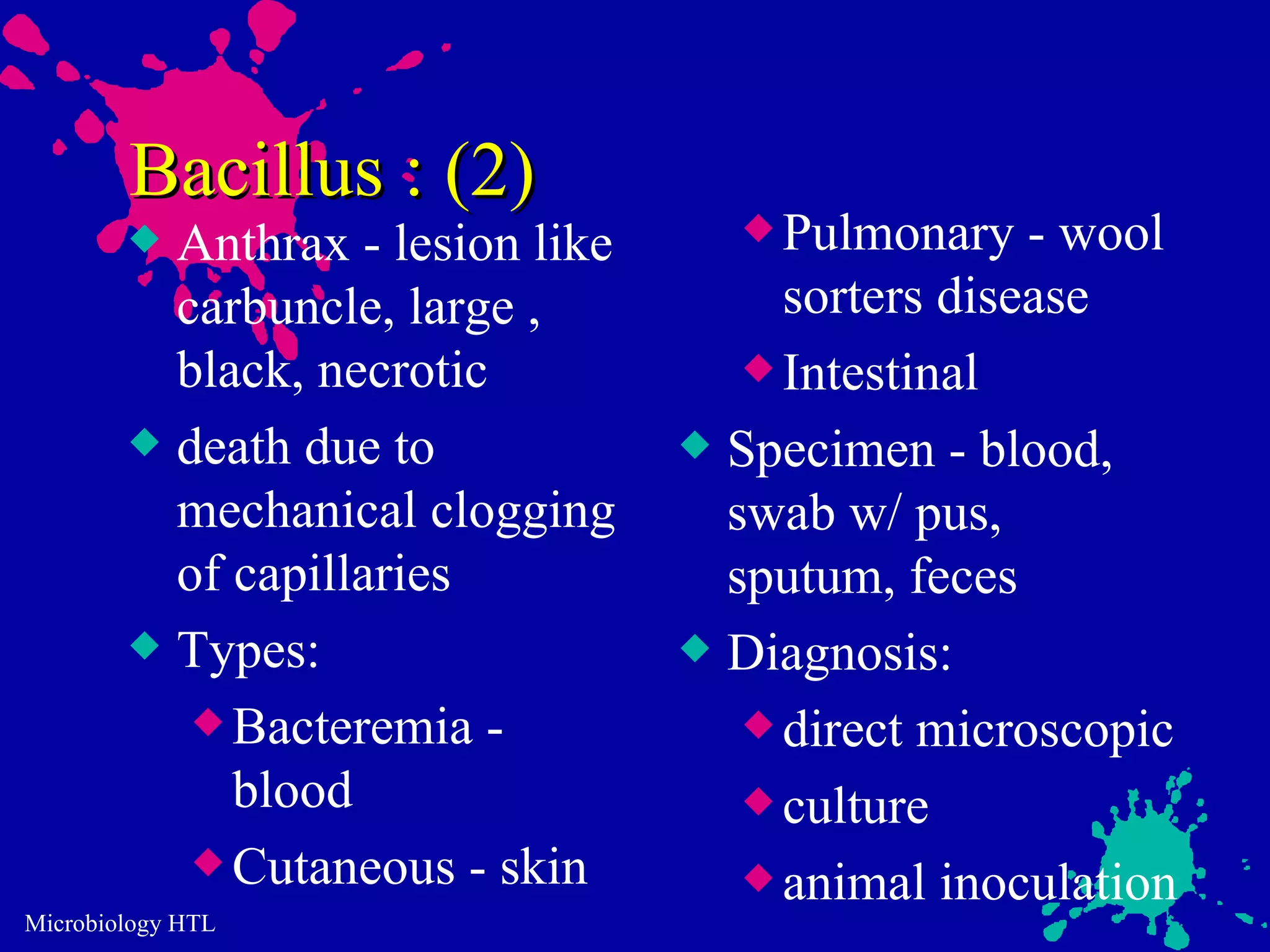 Module 7 bacilli | PPT