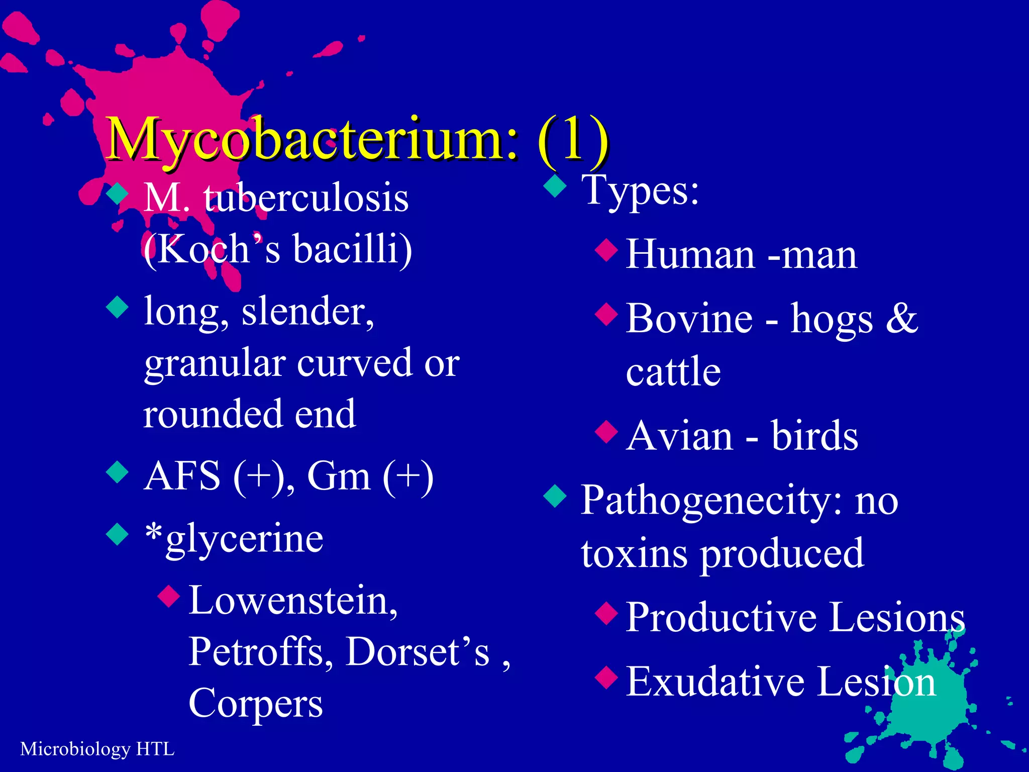 Module 7 bacilli | PPT