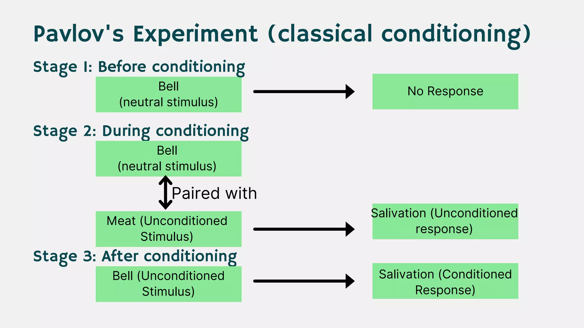 Module 7- Behaviorism | PPTX