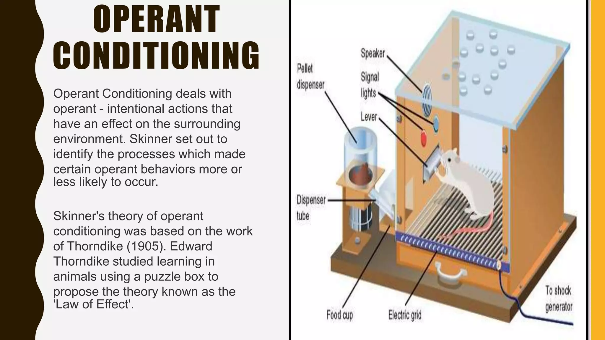 Module 7 behaviorism | PPTX