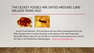 Historical Geology Study Guide | PPTX