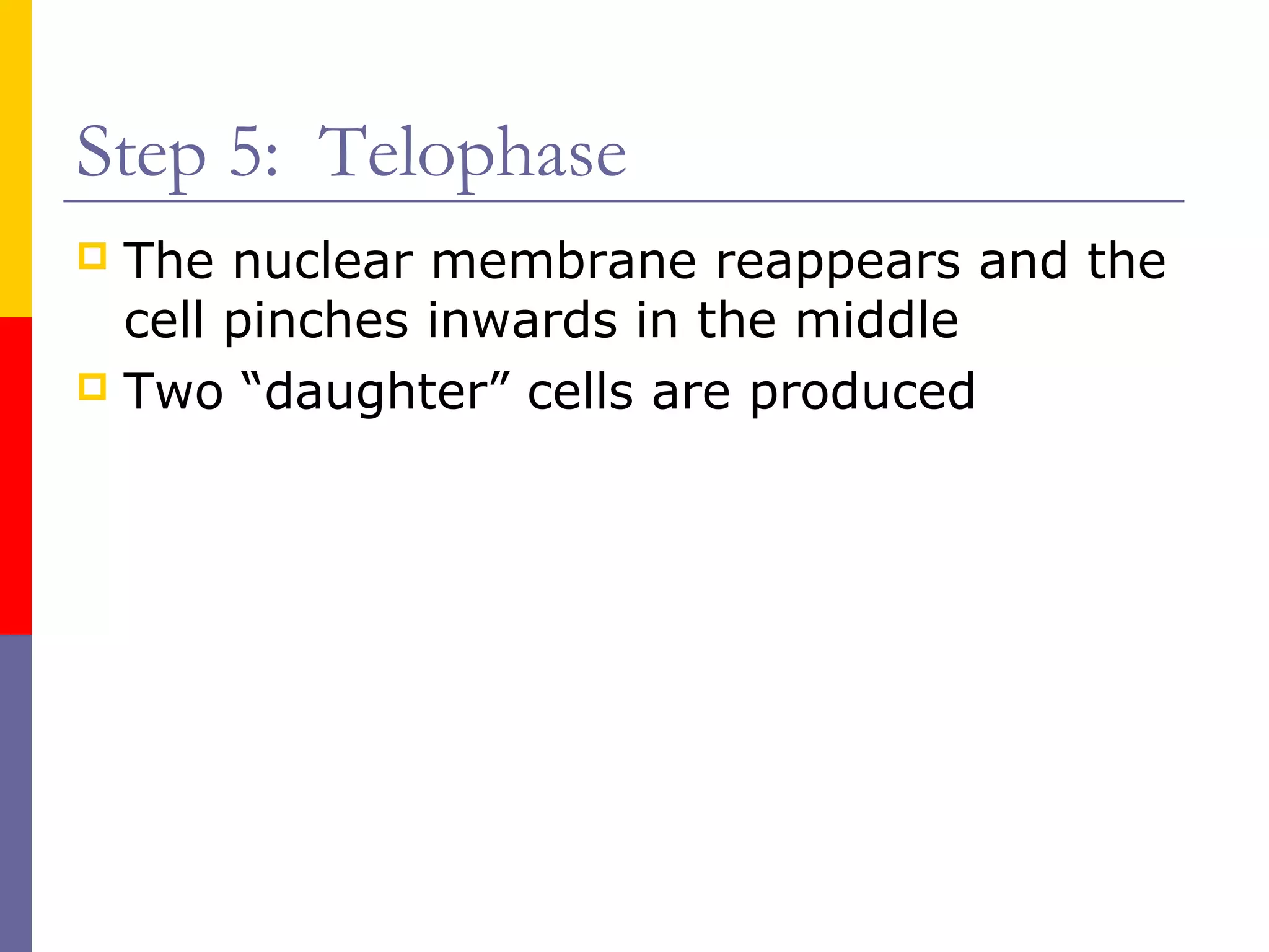 Module 7 mitosis and meiosis | PPT