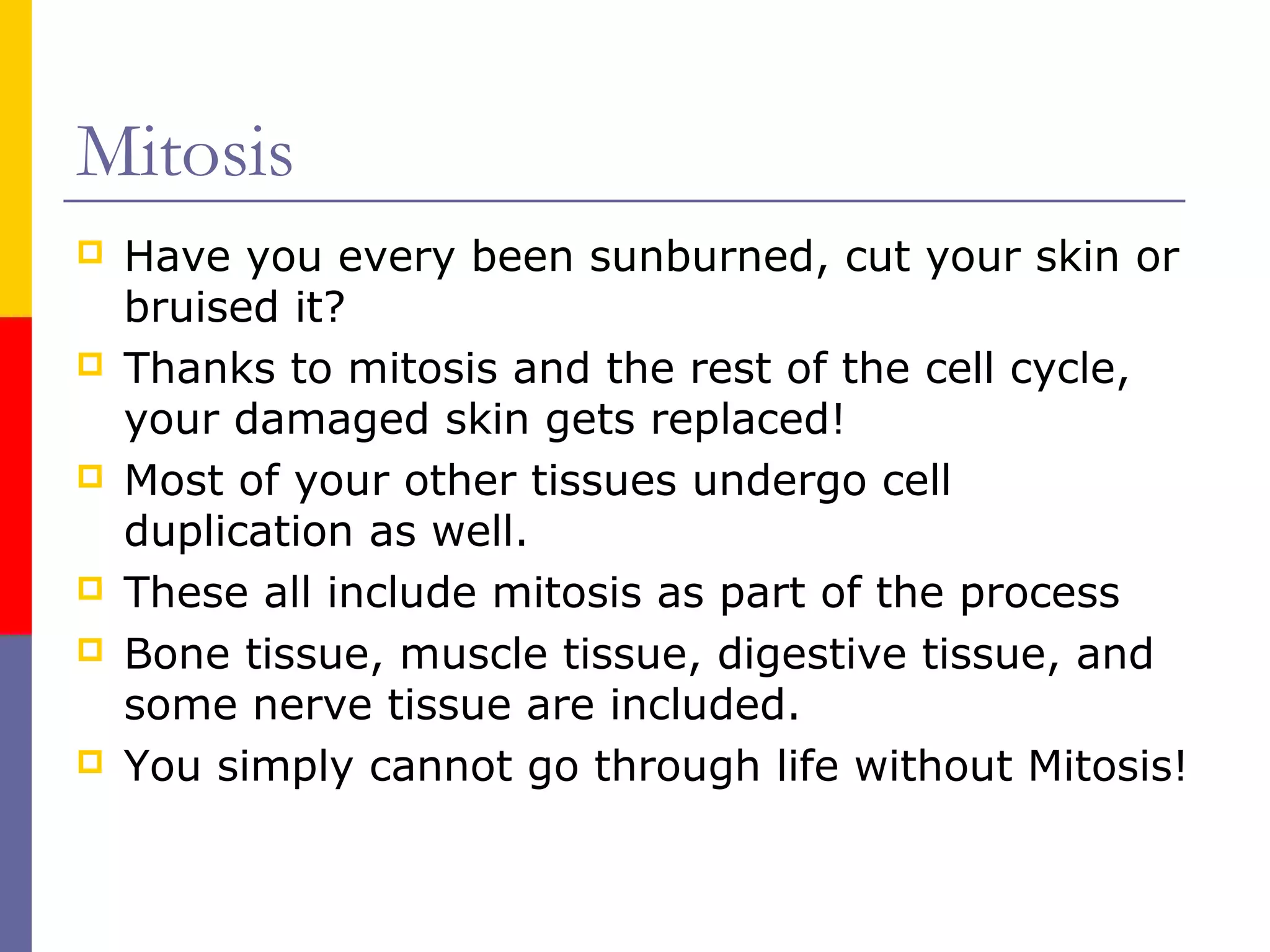Module 7 mitosis and meiosis | PPT