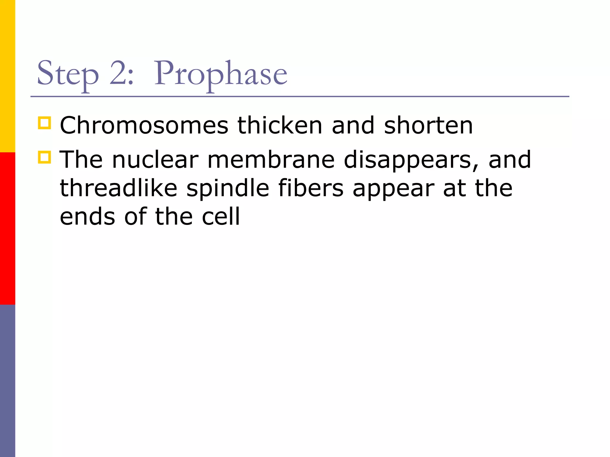 Module 7 mitosis and meiosis | PPT