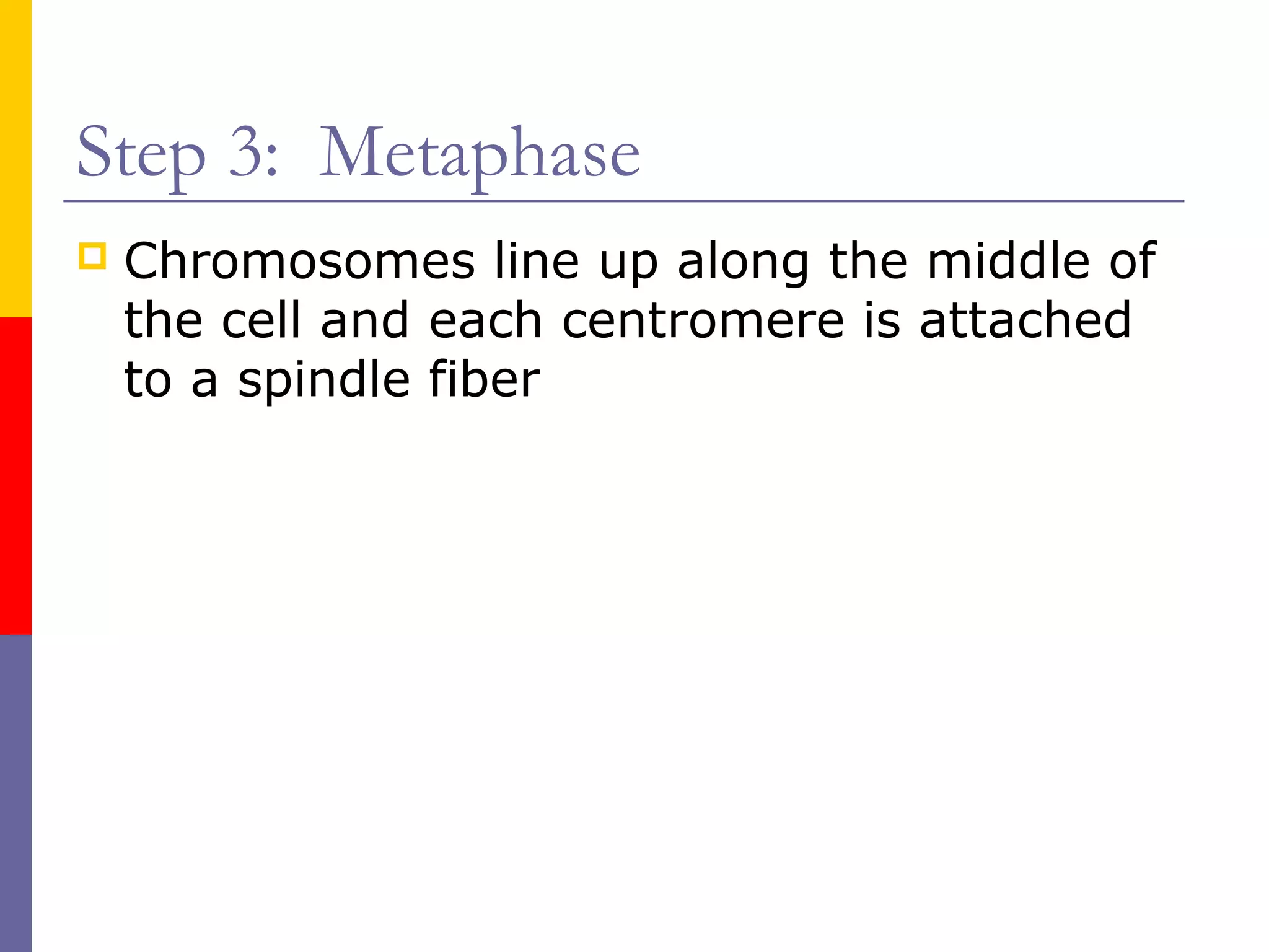 Module 7 mitosis and meiosis | PPT