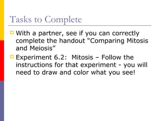 Module 7 mitosis and meiosis | PPT
