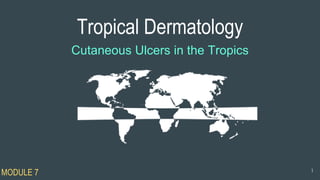 Module_7_Section_1_ULCER. Tropical derm.pdf