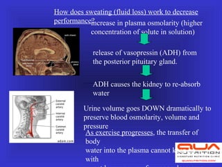 Module 8 mcc sports nutrition credit course - fluid and electrolyte ...