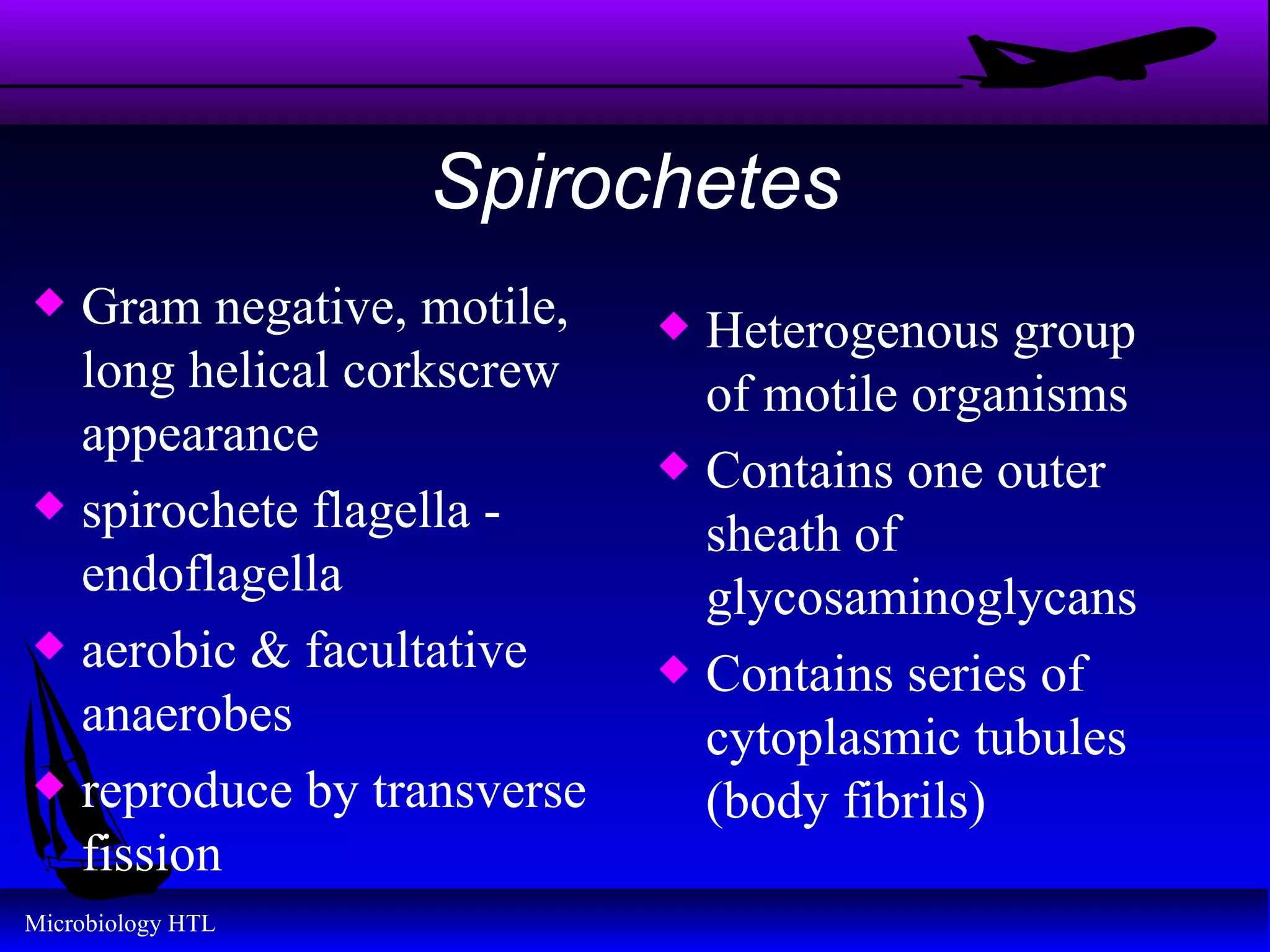 Module 8a spirochetes | PPT