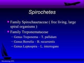 Module 8a spirochetes | PPT