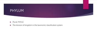 Module 8 PHYLOGENIES.pptx