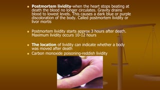 Module #8 PowerPoint Death Investigations Chapter 8.pdf