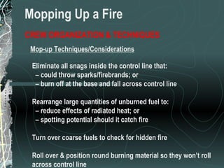 Module 8 Mop up | PPT