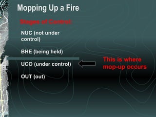 Module 8 Mop up | PPT