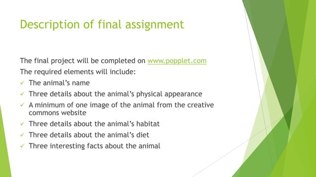 Module 8 technology project | PPT