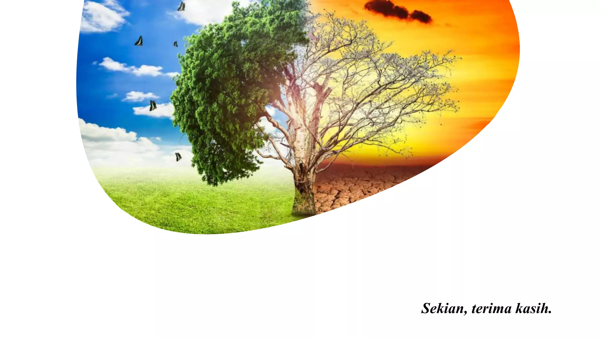 Module 9 - Gambar-Gambar Kesan kepada Alam Sekitar (Mohd Azriezul bin ...