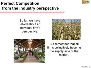 Perfect Competition in the Long Run | PPT