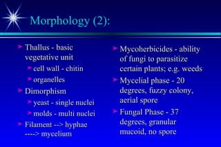 Module 9a mycology | PPT