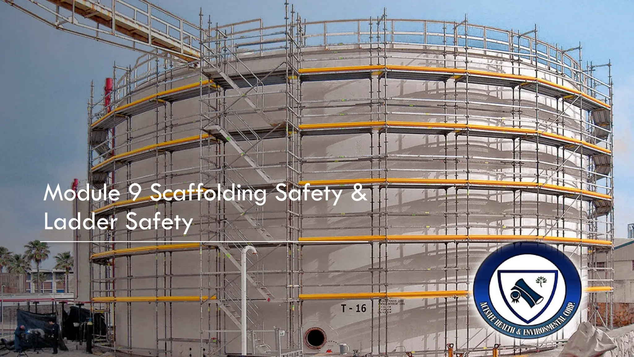 Module 9 Scaffolding & Ladder Safety.pptx