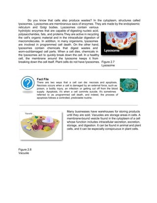 Module cell structure and function | PDF