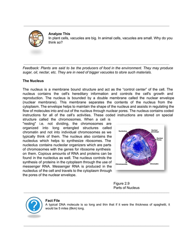 Module cell structure and function | PDF