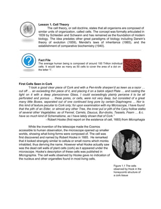 Module cell structure and function | PDF