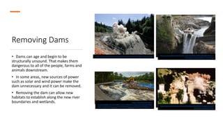 Hydroelectric Dams: the good, the bad, and the ugly | PPTX