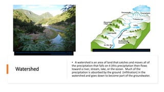 water vocabulary | PPT