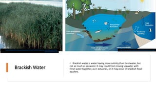 water vocabulary | PPT