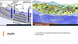 water vocabulary | PPTX