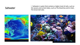 water vocabulary | PPT