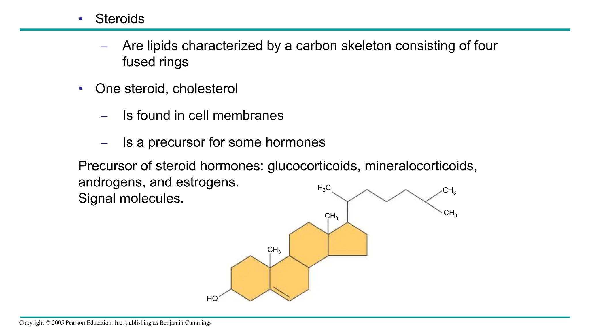 Module I_6_Structure and Function of Macromolecules.ppt