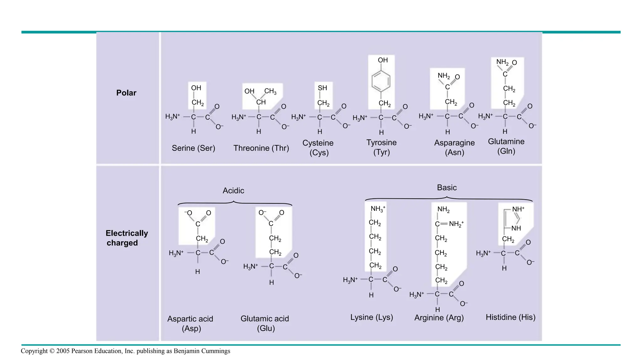 Module I_6_Structure and Function of Macromolecules.ppt