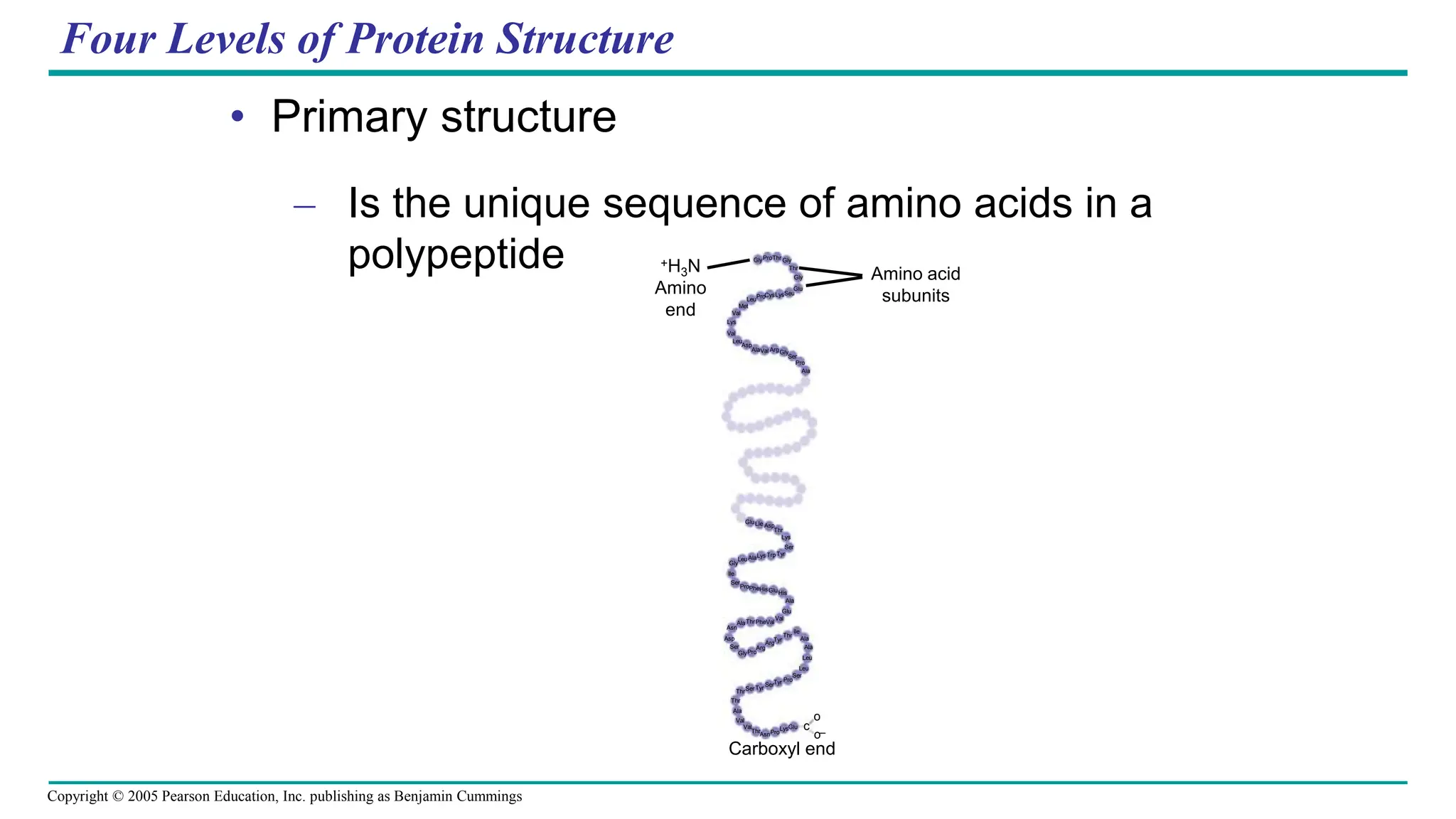 Module I_6_Structure and Function of Macromolecules.ppt