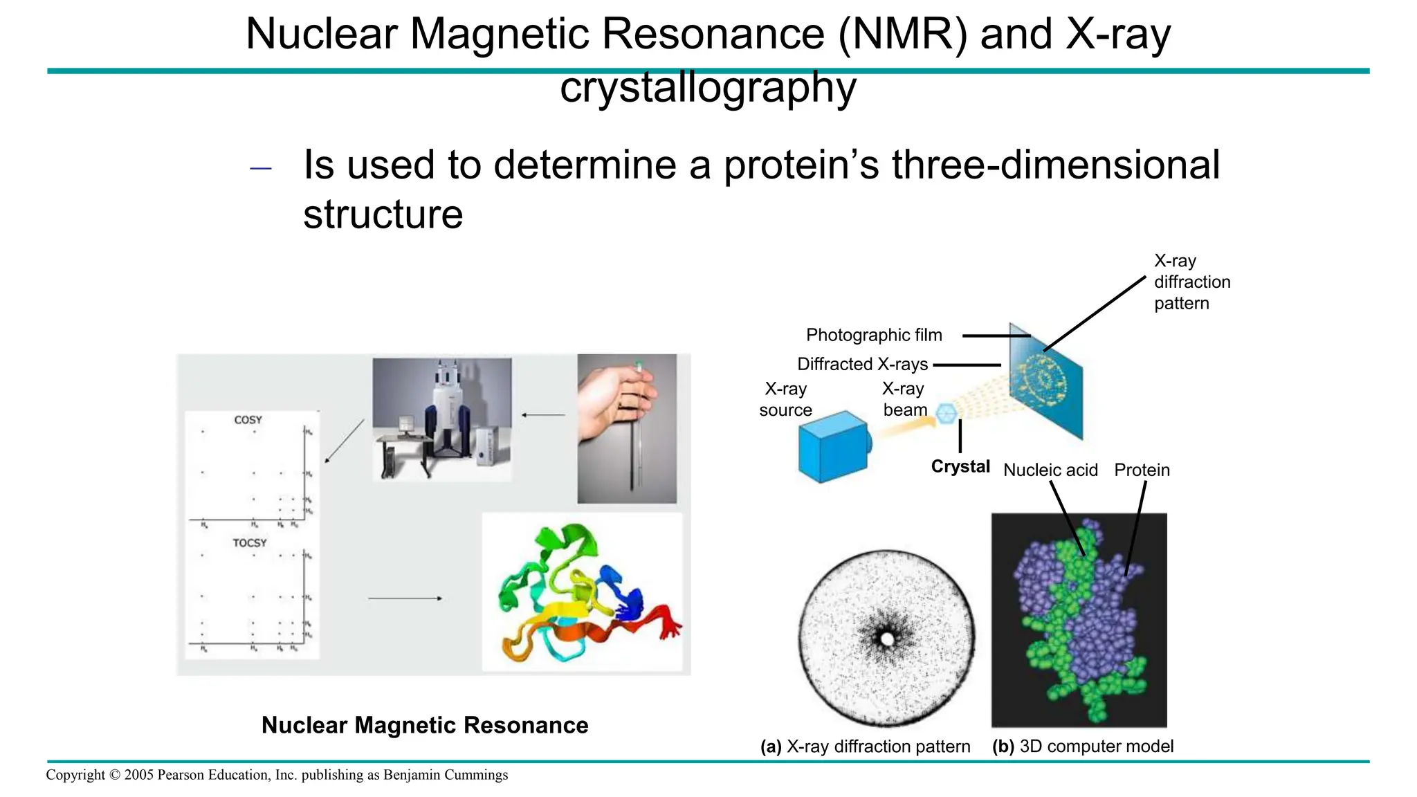 Module I_6_Structure and Function of Macromolecules.ppt