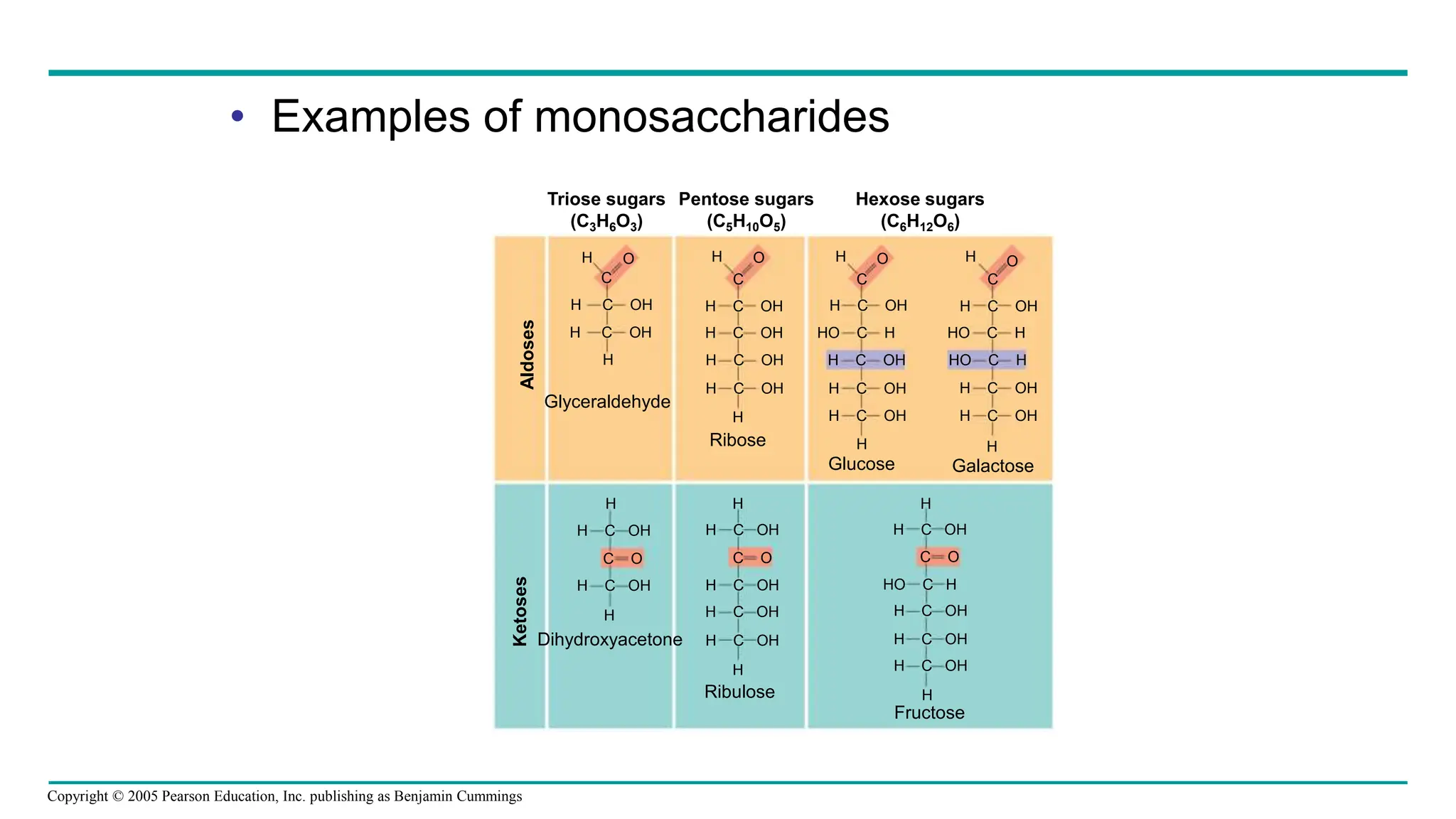 Module I_6_Structure and Function of Macromolecules.ppt