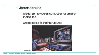 Module I_6_Structure and Function of Macromolecules.ppt