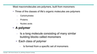 Module I_6_Structure and Function of Macromolecules.ppt