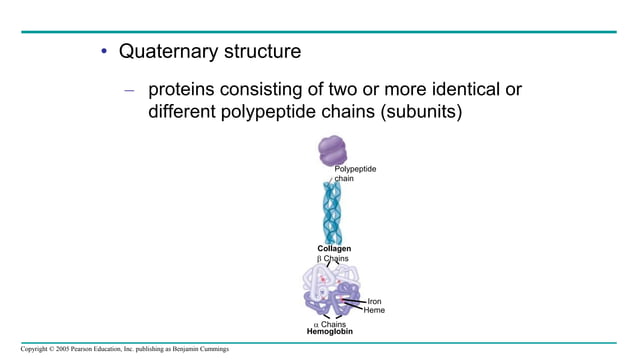 Module I_6_Structure and Function of Macromolecules.ppt