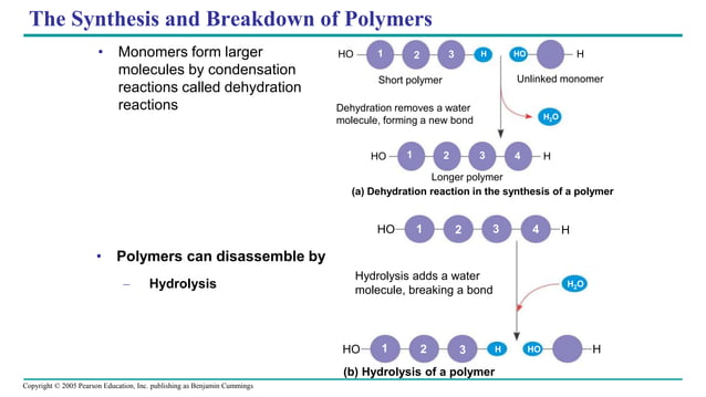 Module I_6_Structure and Function of Macromolecules.ppt