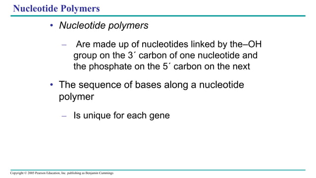 Module I_6_Structure and Function of Macromolecules.ppt