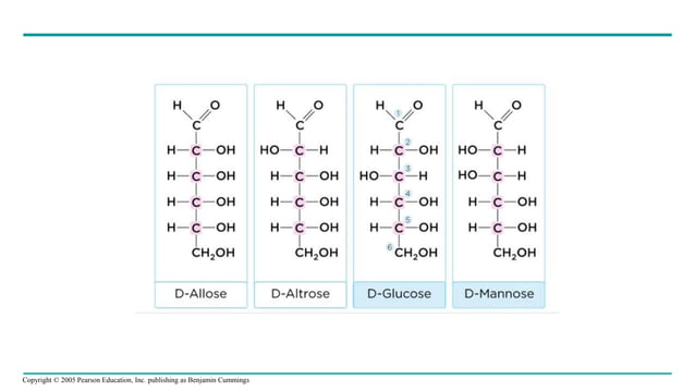 Module I_6_Structure and Function of Macromolecules.ppt