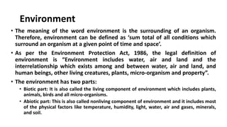 Environmental Economics | PPTX